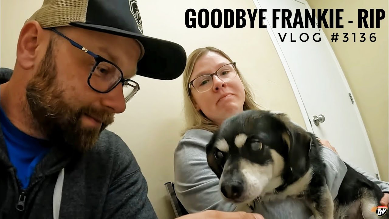 GOODBYE FRANKIE | RIP Buddy | Vlog #3136